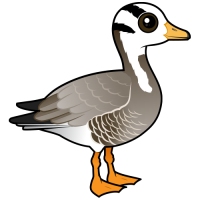 Cute Ducks & Geese by Birdorable