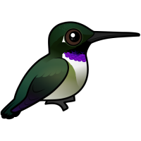 Cute Hummingbirds by Birdorable