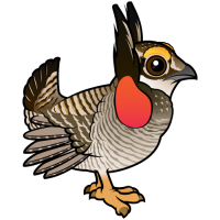 Cute Grouse by Birdorable