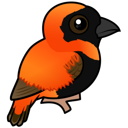 Birdorable – Unique Cute Bird Gifts & T-Shirts for Bird Lovers