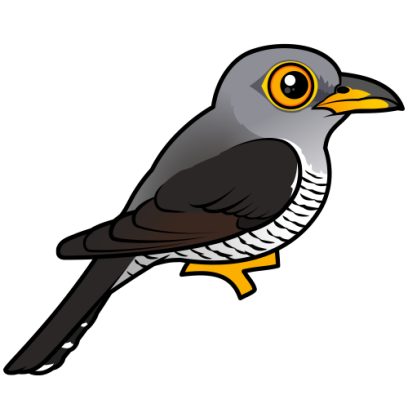 Birdorable – Unique Cute Bird Gifts & T-Shirts for Bird Lovers