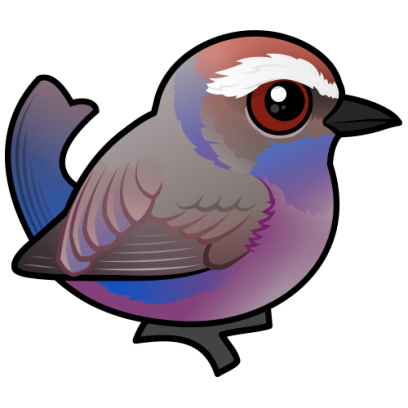 Birdorable – Unique Cute Bird Gifts & T-Shirts for Bird Lovers