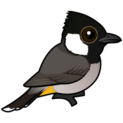 Birdorable – Unique Cute Bird Gifts & T-Shirts for Bird Lovers