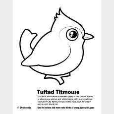 Cute Bird Downloads by Birdorable