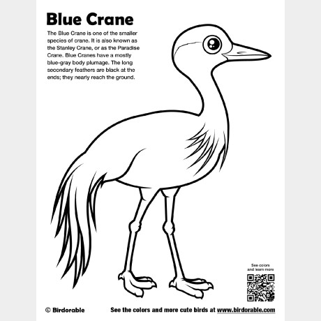 Cute Coloring Pages by Birdorable - Free Downloads