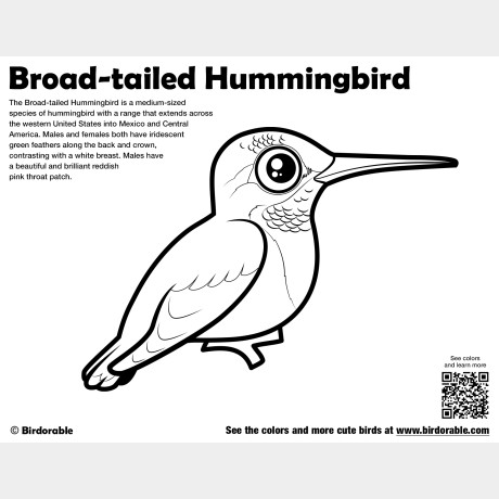 Cute Coloring Pages by Birdorable - Free Downloads