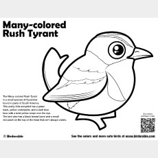 Cute Coloring Pages by Birdorable - Free Downloads