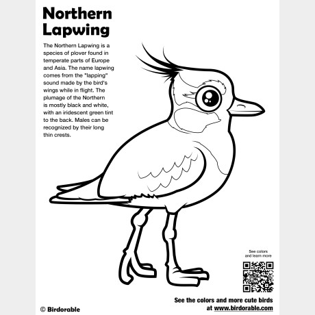 Cute Coloring Pages by Birdorable - Free Downloads