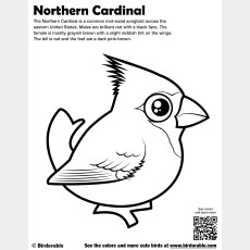 Cute Coloring Pages by Birdorable - Free Downloads