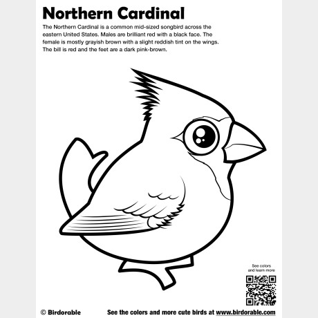 Cute Coloring Pages by Birdorable - Free Downloads
