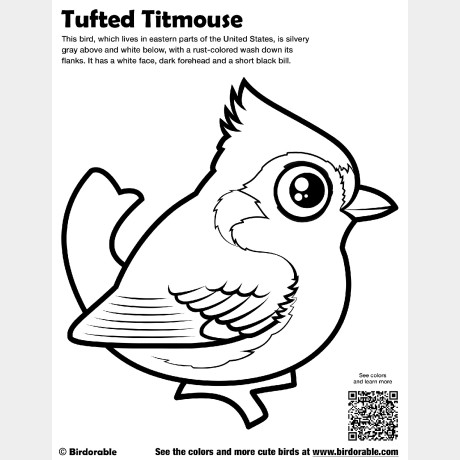 Fun Downloads & Activity Pages with Cute Birds by Birdorable