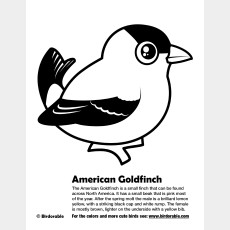 Cute Coloring Pages by Birdorable - Free Downloads