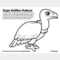 Cute Coloring Pages by Birdorable - Free Downloads