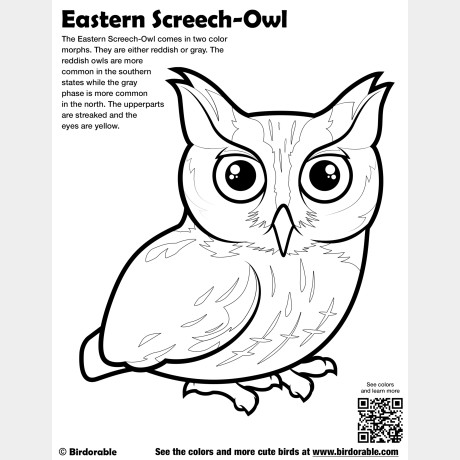 Cute Coloring Pages by Birdorable - Free Downloads