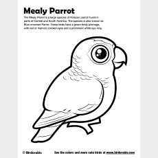 Cute Coloring Pages by Birdorable - Free Downloads