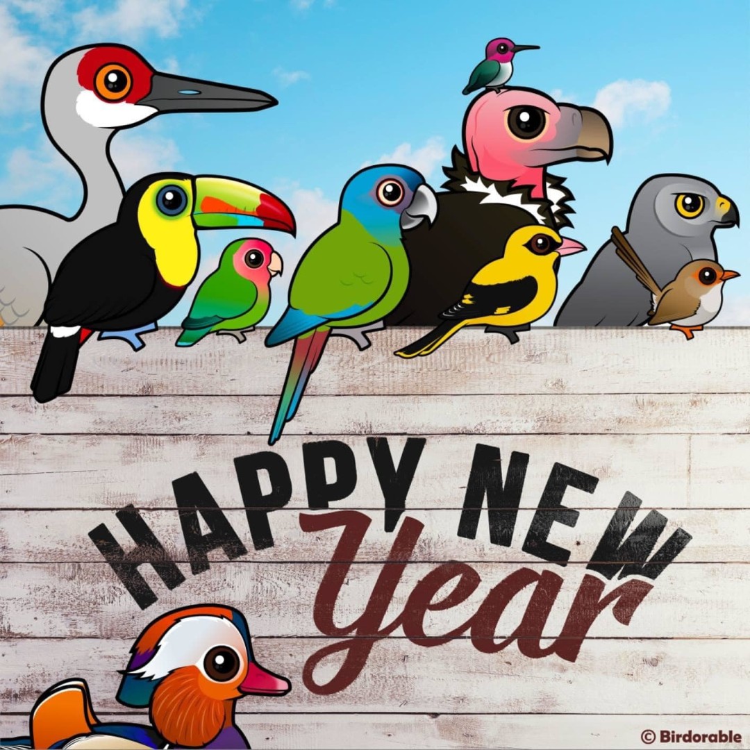 Happy New Year Shareable Graphic by Birdorable