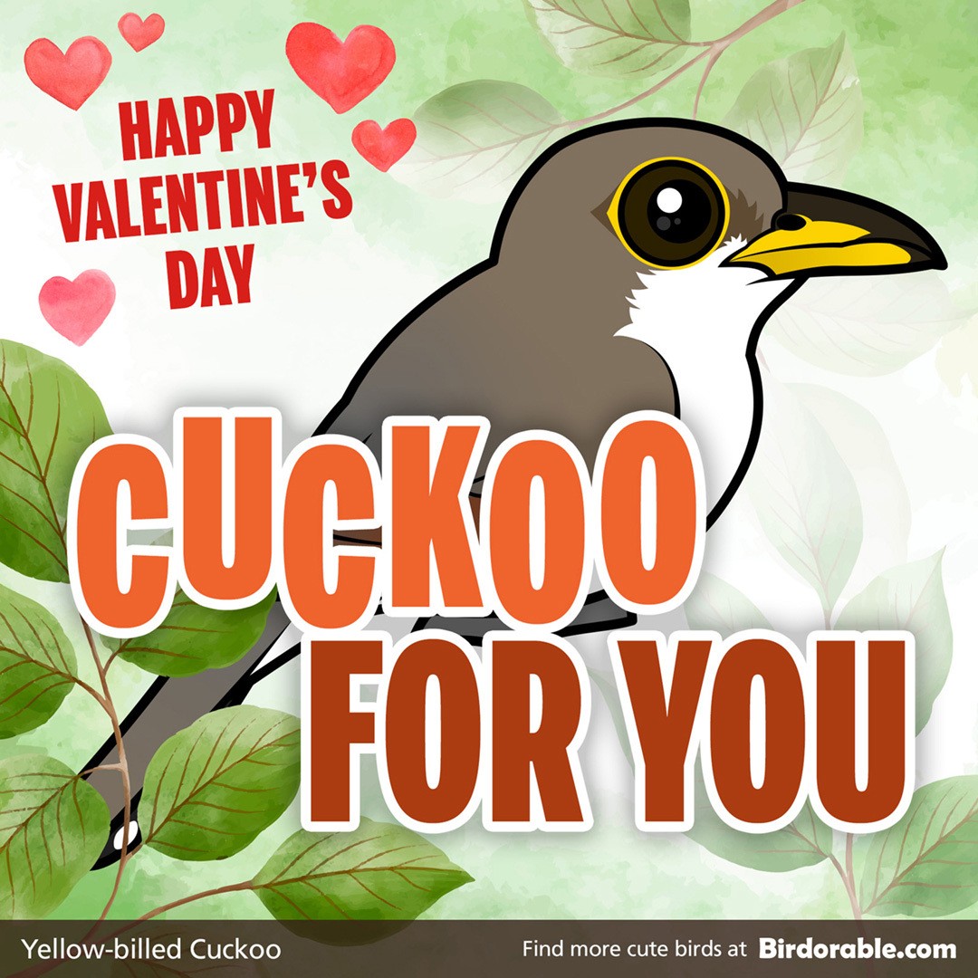 Valentine's Day "Cuckoo For You" Shareable Graphic by Birdorable