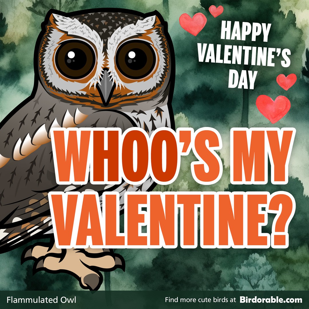 Valentine's Day Owl Shareable Graphic by Birdorable