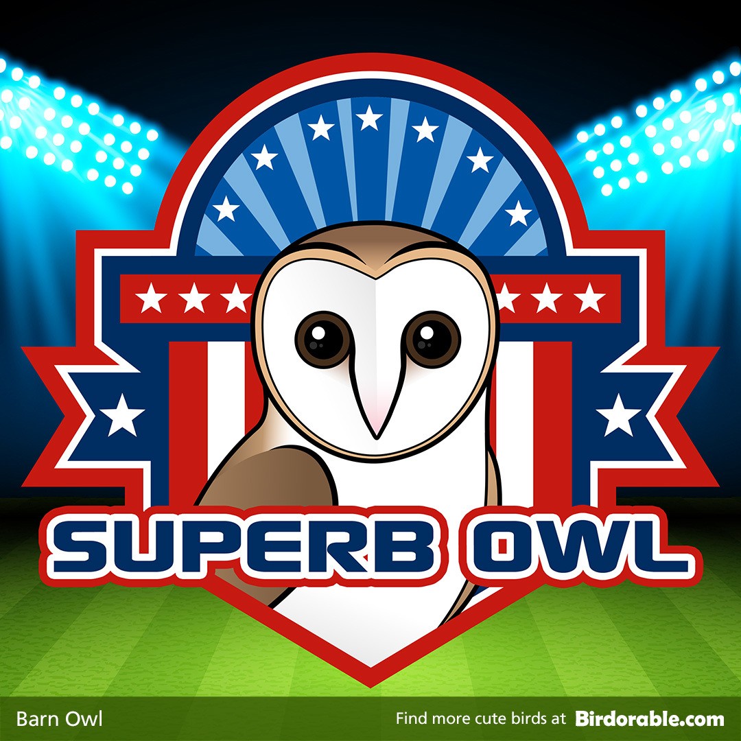 Birdorable Superb Owl Shareable Graphic by Birdorable
