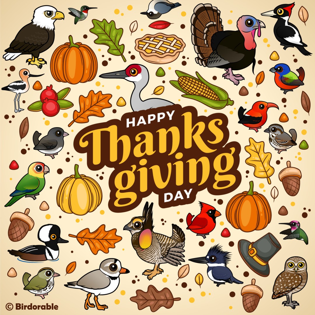 Birdorable Happy Thanksgiving Day Shareable Graphic by Birdorable