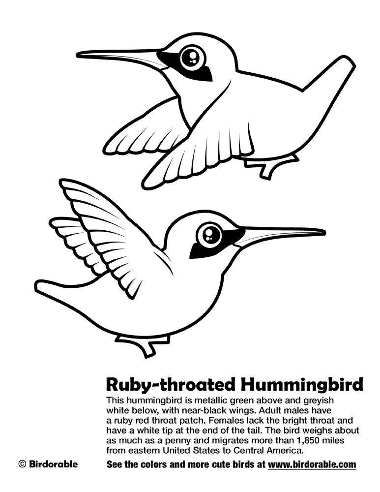 Ruby-throated Hummingbird Coloring Page by Birdorable