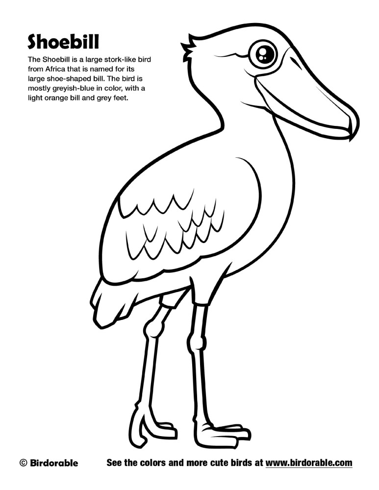Shoebill Coloring Page by Birdorable