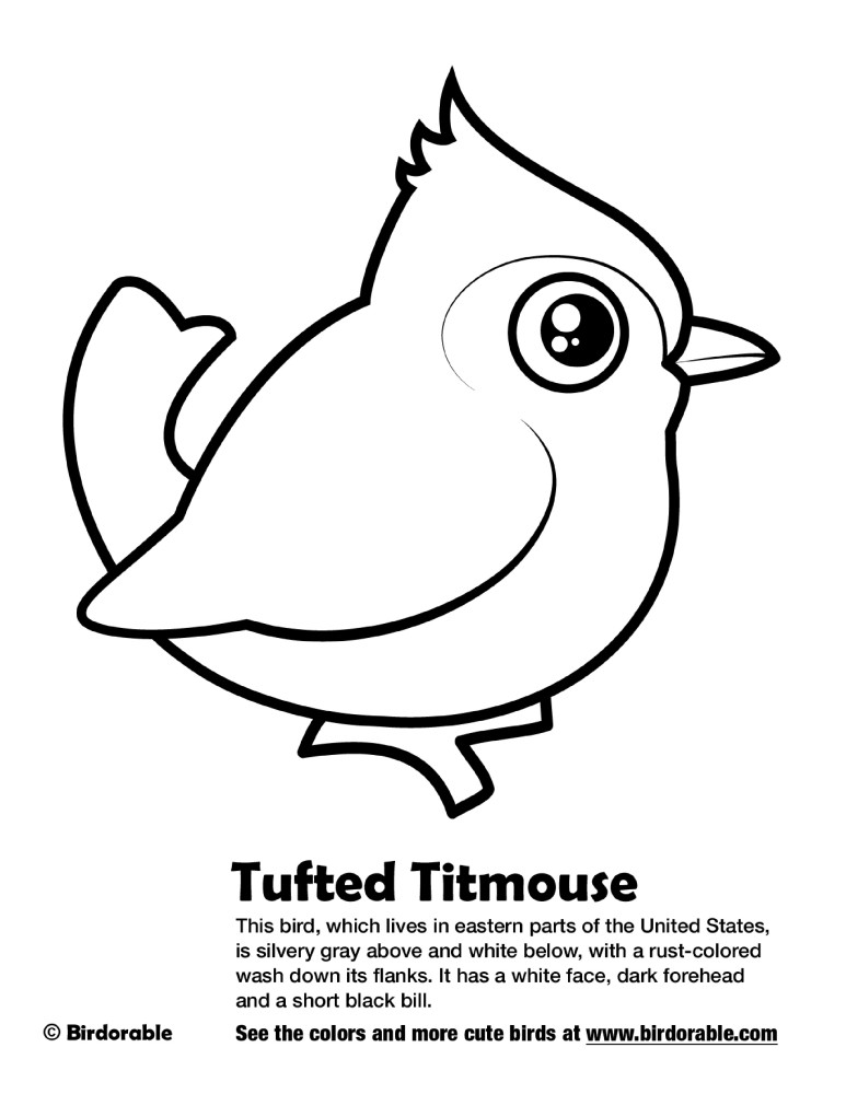 Tufted Titmouse Coloring Page by Birdorable