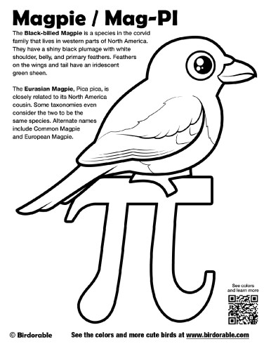 Mag-PI Coloring Page with Birdorable Magpie by Birdorable