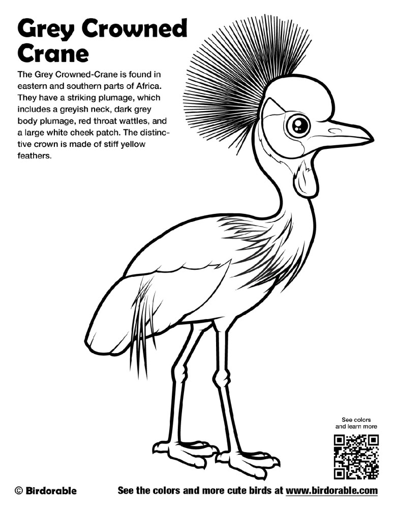 Grey Crowned-Crane Coloring Page by Birdorable