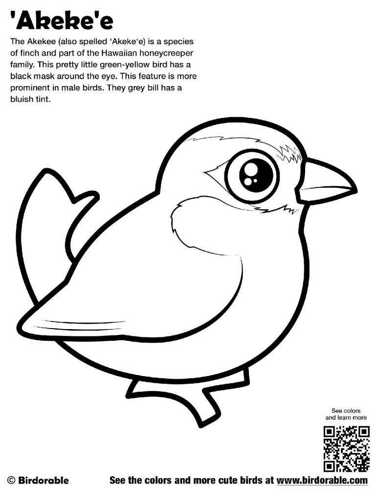 'Akeke'e Coloring Page by Birdorable