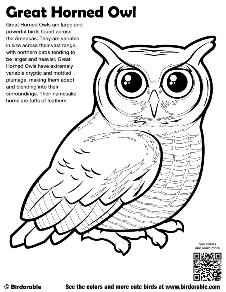 Great Horned Owl Coloring Page by Birdorable