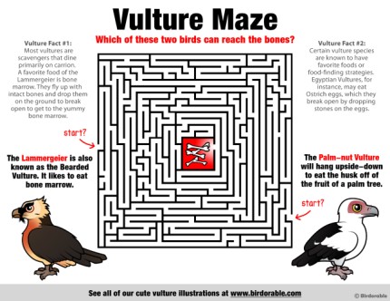 Vulture Maze by Birdorable