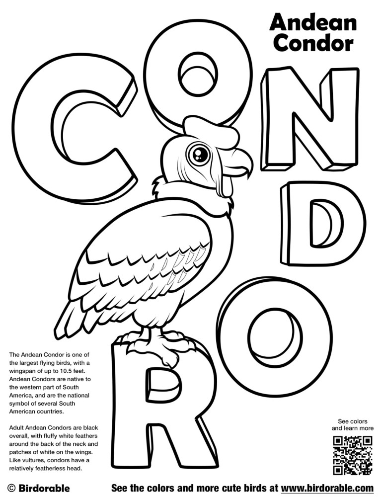 Condor Coloring Page by Birdorable