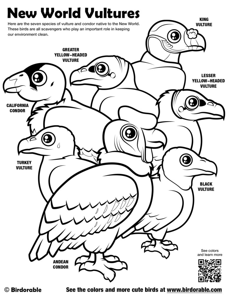 New World Vultures Coloring Page by Birdorable