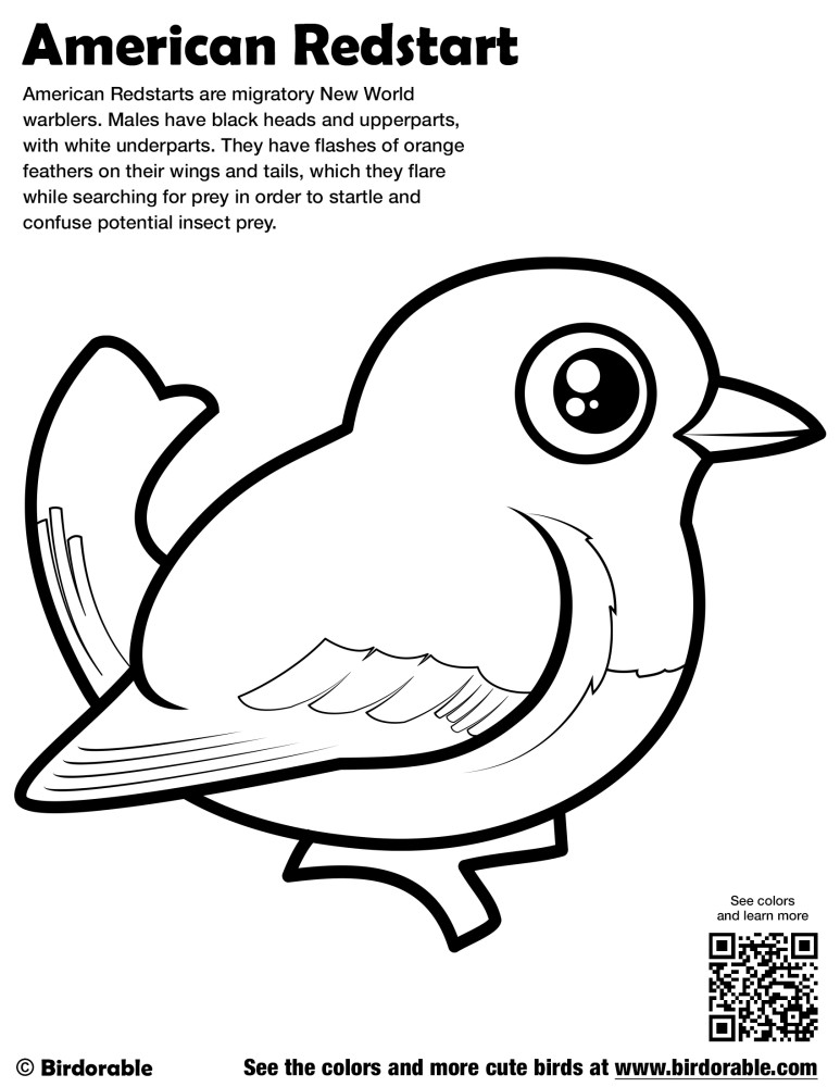 American Redstart Coloring Page by Birdorable