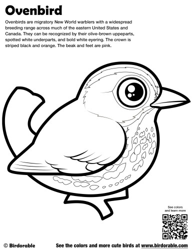 Ovenbird Coloring Page by Birdorable