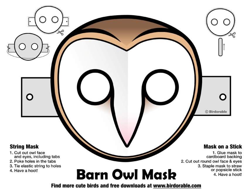 Halloween Barn Owl Mask by Birdorable
