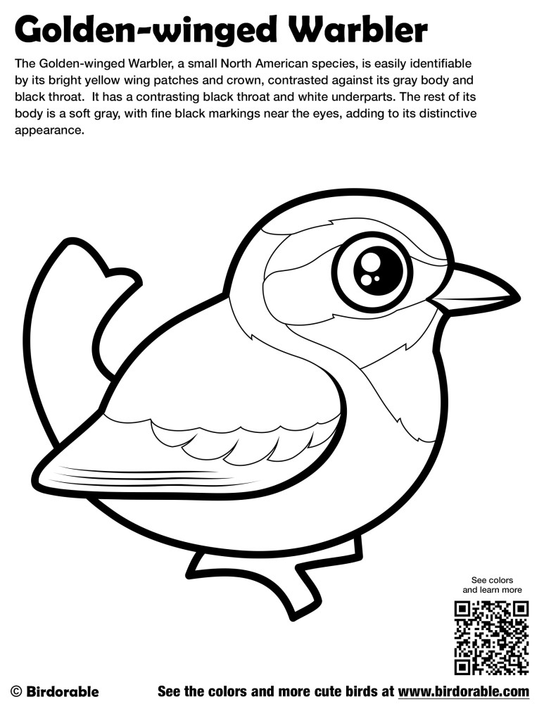 Golden-winged Warbler Coloring Page by Birdorable