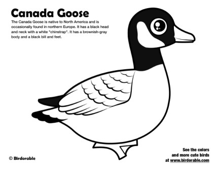 Canada Goose Coloring Page by Birdorable