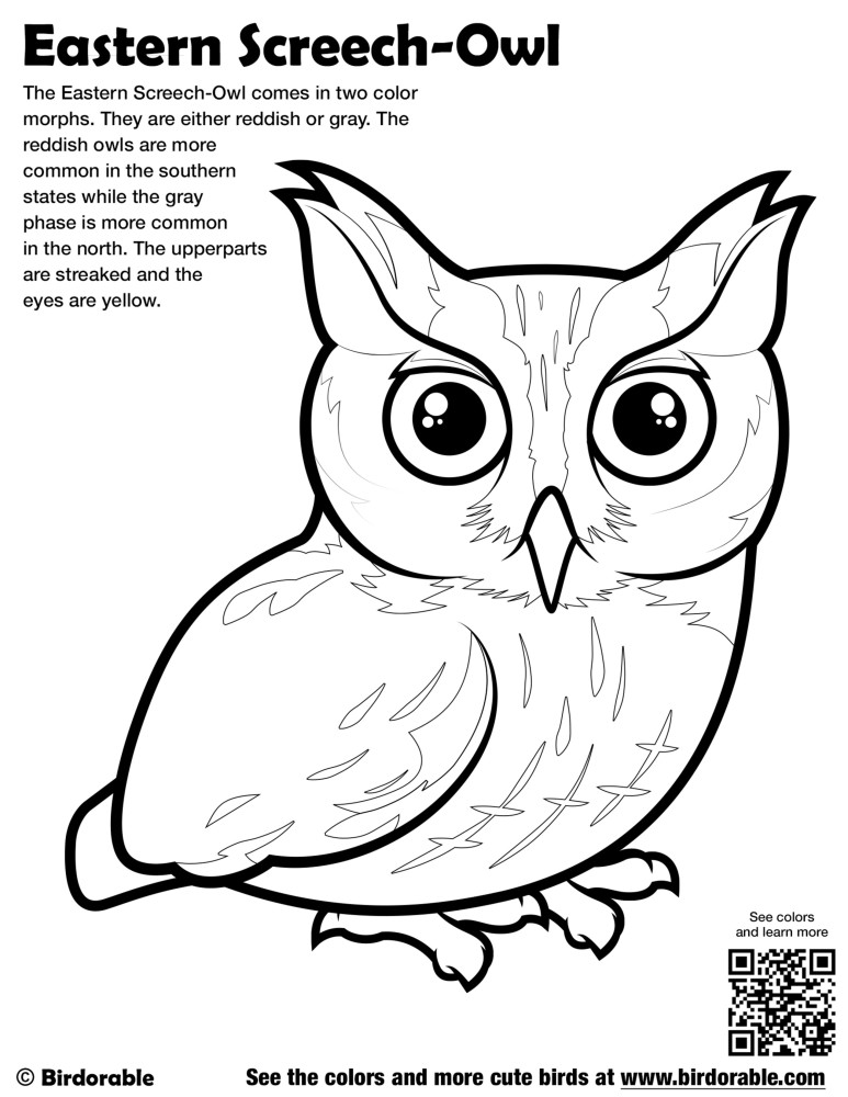 Eastern Screech-Owl Coloring Page by Birdorable