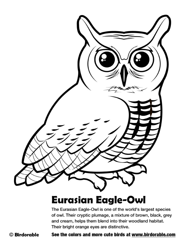 Eurasian Eagle-Owl Coloring Page by Birdorable