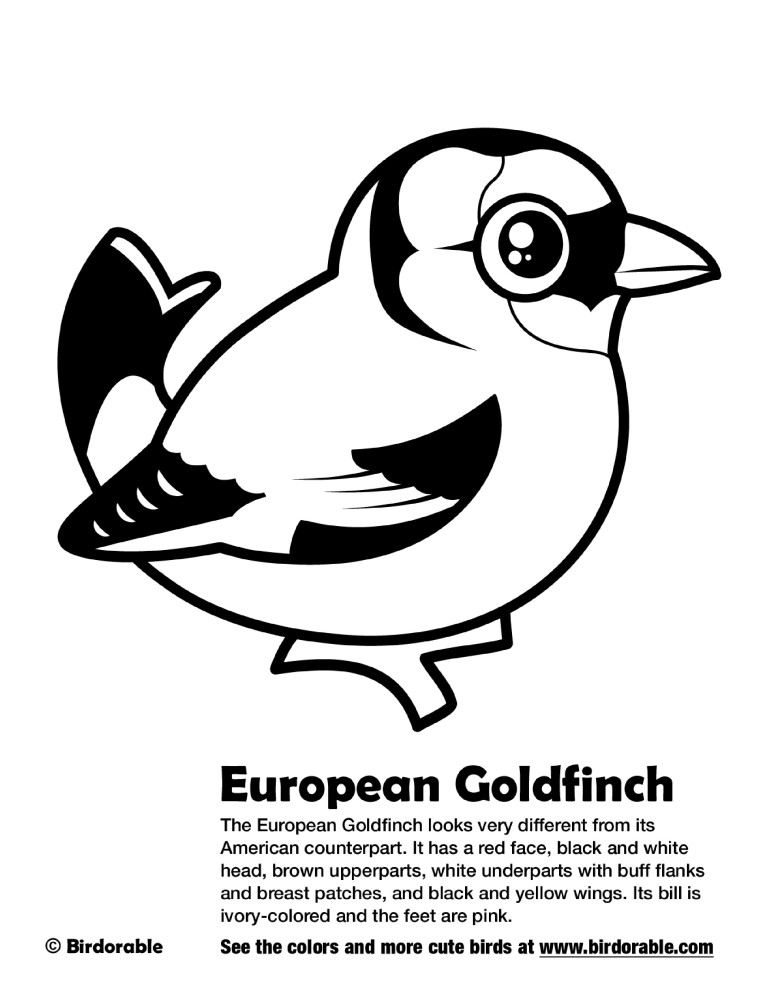 European Goldfinch Coloring Page by Birdorable