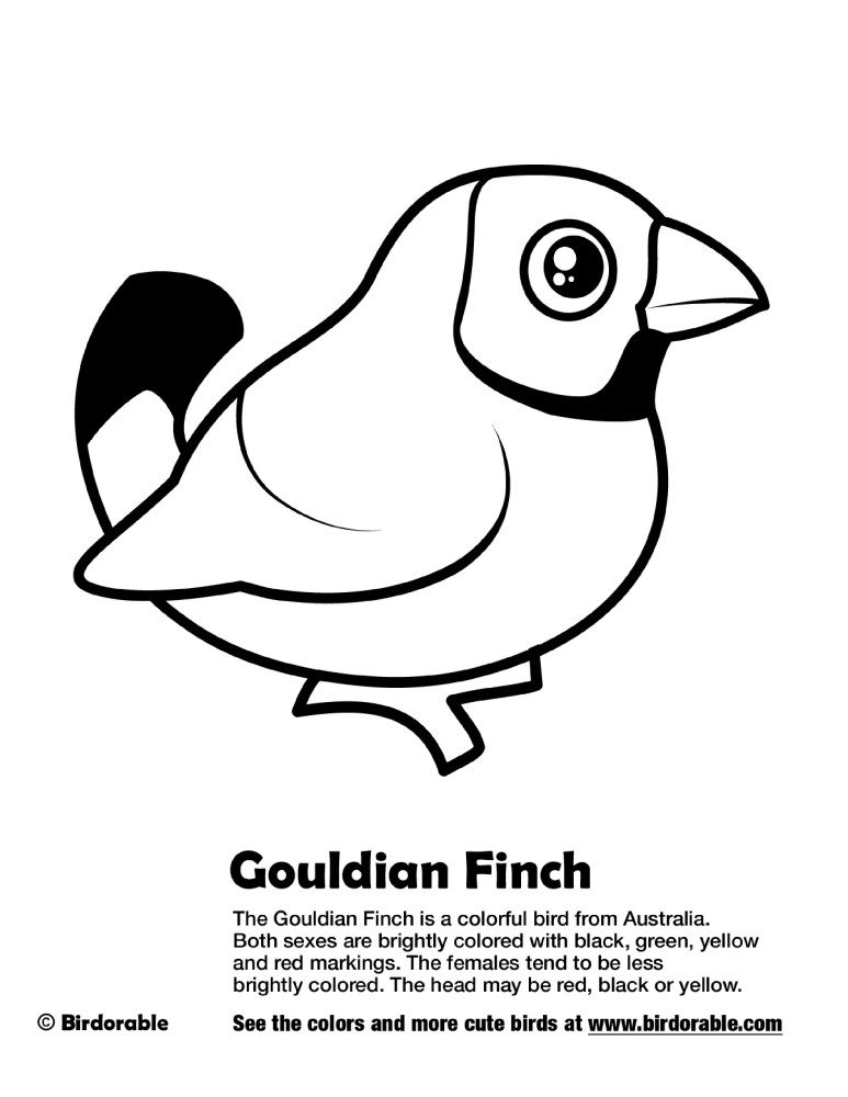 Gouldian Finch Coloring Page by Birdorable
