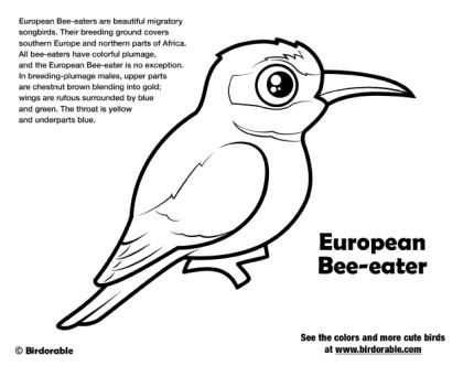 European Bee-eater Coloring Page by Birdorable