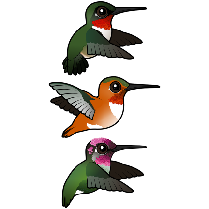 Birdorable – Unique Cute Bird Gifts & T-Shirts for Bird Lovers