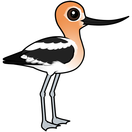 Birdorable Plovers, Stilts, Curlew, Godwit, Knot, Lapwings & More
