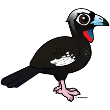 Birdorable Grouse, Pheasants, Quails, Chickens, Guans & More