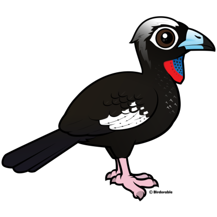 Birdorable Grouse, Pheasants, Quails, Chickens, Guans & More