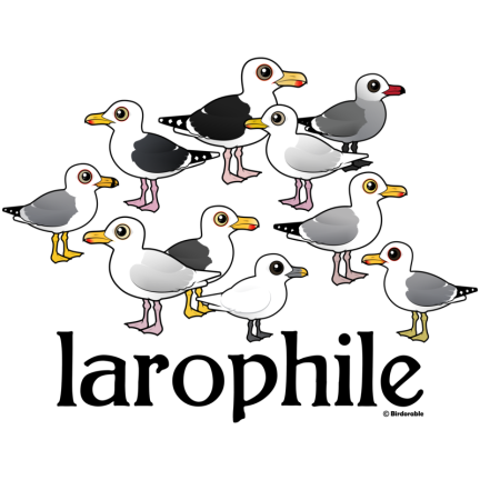 Birdorable Flocks: Product Designs with Multiple Birds