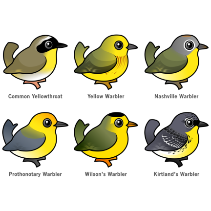Birdorable Flocks: Product Designs with Multiple Birds
